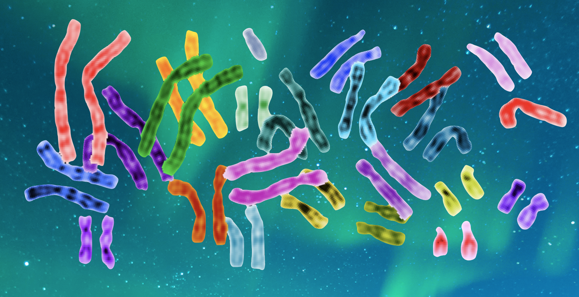 Exploring the human genome with Bioconductor | Gabe Mednick