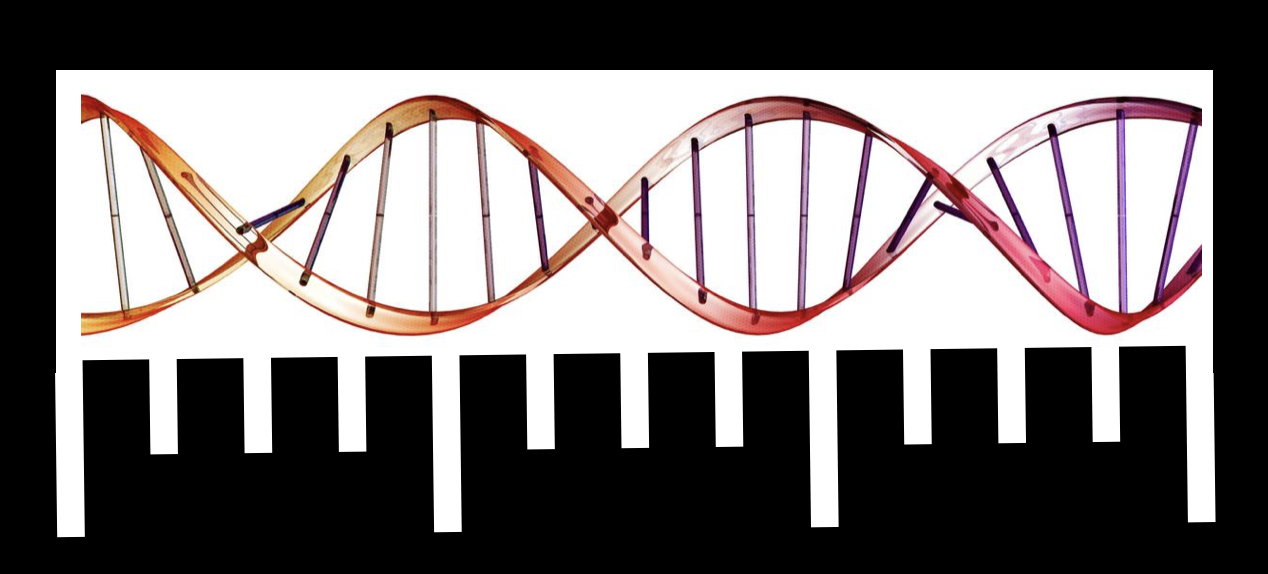 K-mer counting tool | Gabe Mednick
